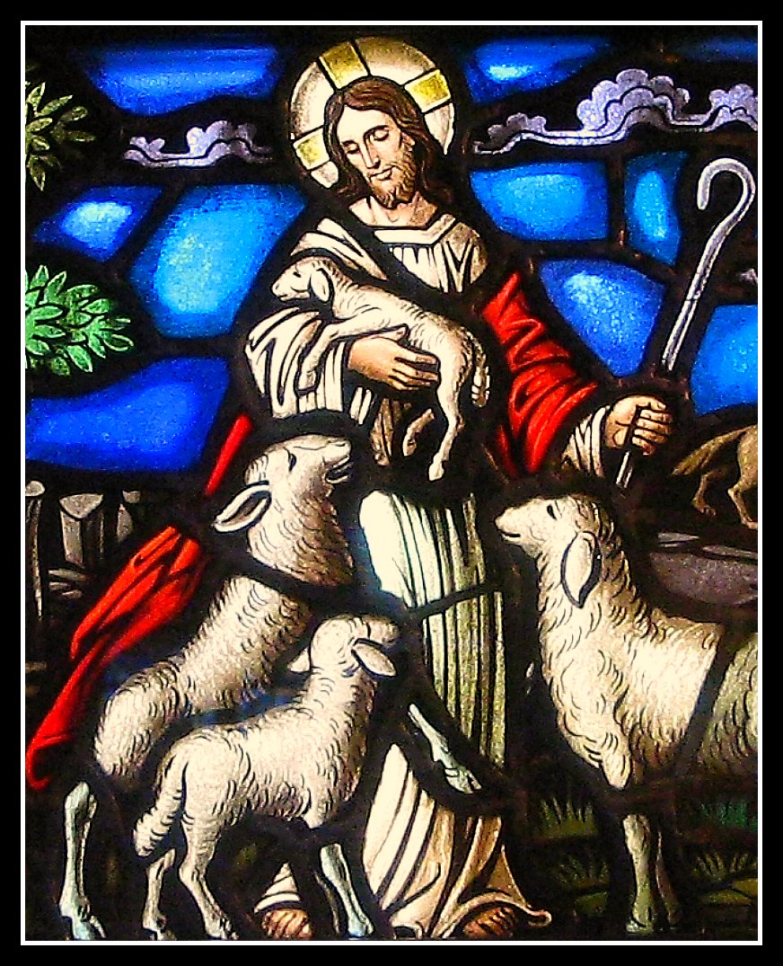 New Testament -- Gospel Doctrine: The Good Shepherd