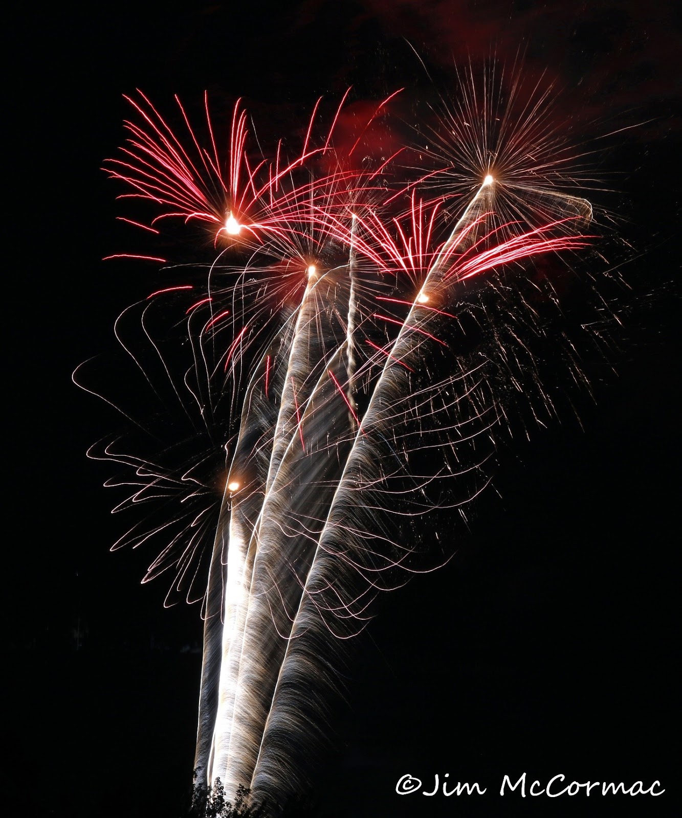 Ohio Birds and Biodiversity: Fireworks as Art