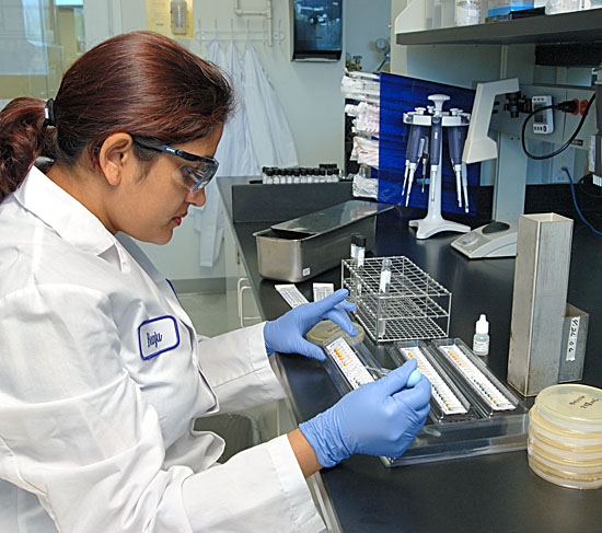 View From The Petri Dish: Tips for Aseptic Technique in the Laboratory ...