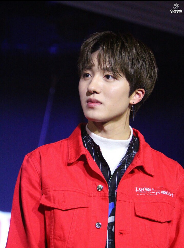 EDITORCilik😊: Biodata dan Fakta Lengkap Chani SF9 (Kang Chan Hee) Terbaru