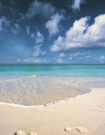 Sahil Deniz Kum Üçlemesi