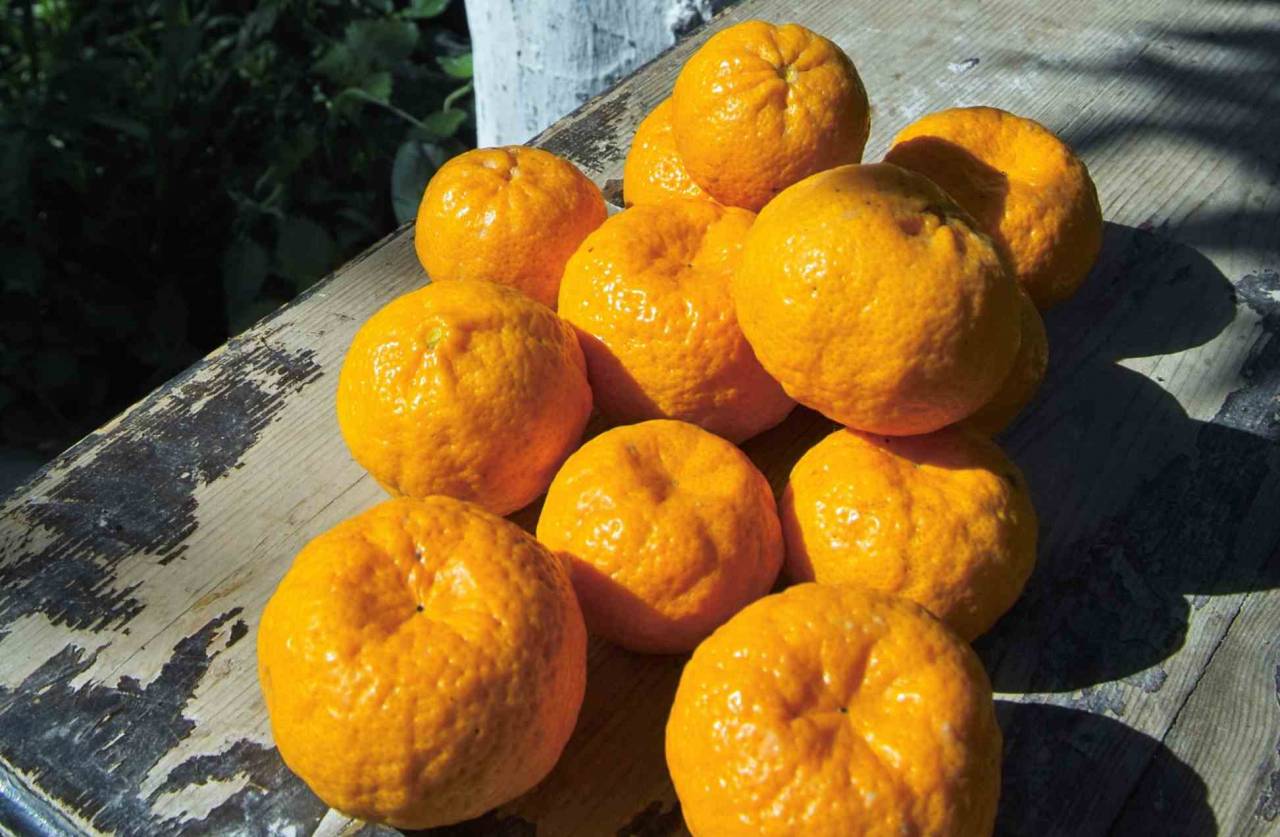 International food blog: INTERNATIONAL: GREECE: Part 5 - Greek Islands ...