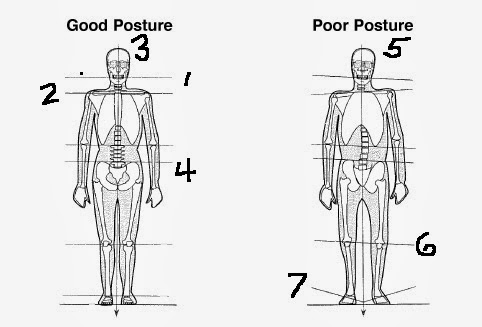 Kizomba Seattle: Body Awareness: Posture Part 2