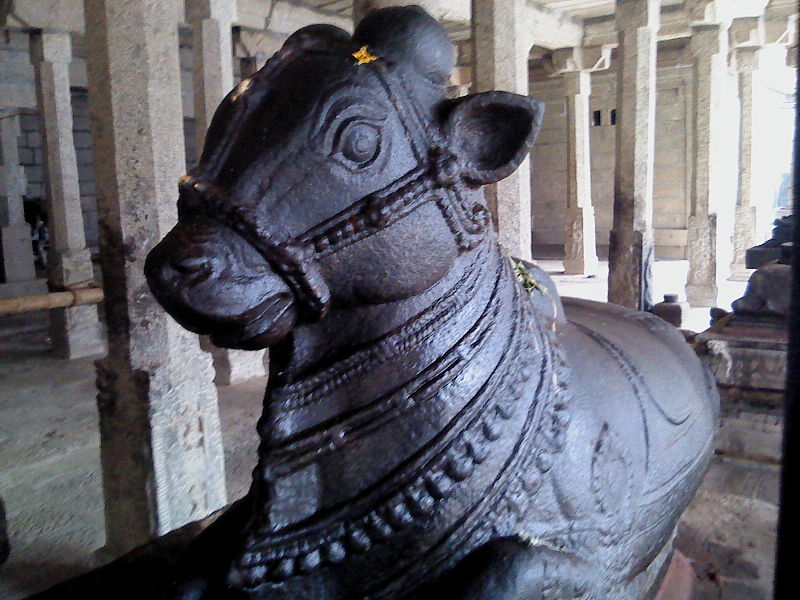 Kalakad - The town surrounded by Hills and Forest