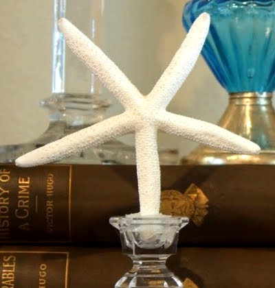 Homemade Display Stands for Shells and Sea Life - Coastal Decor Ideas ...