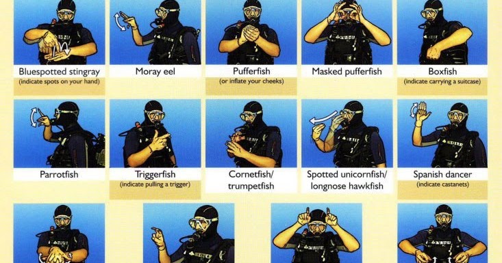 HAND SIGNAL FOR MARINE ANIMAL ~ AQUA DIVING CENTER GORONTALO