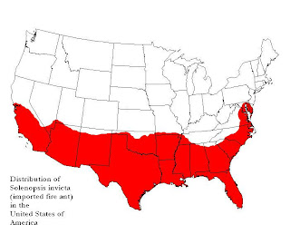 Worlds of Fascination: Invasive Red Fire Ants in the USA