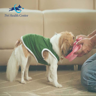 Super Vitachews For Dogs ~ Pet Health Center