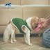 Super Vitachews For Dogs ~ Pet Health Center