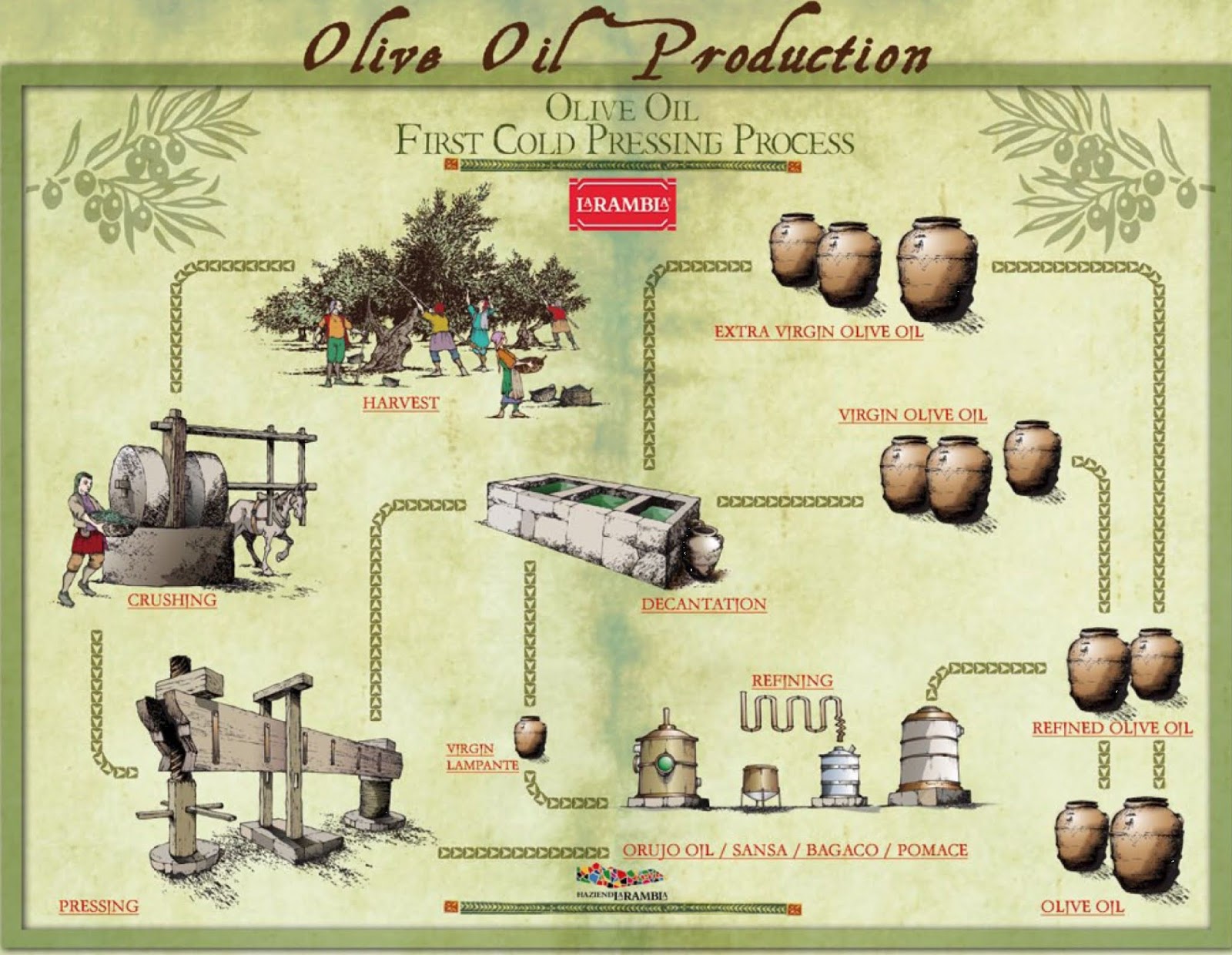 The Christian Life Compared to Olive Oil Production
