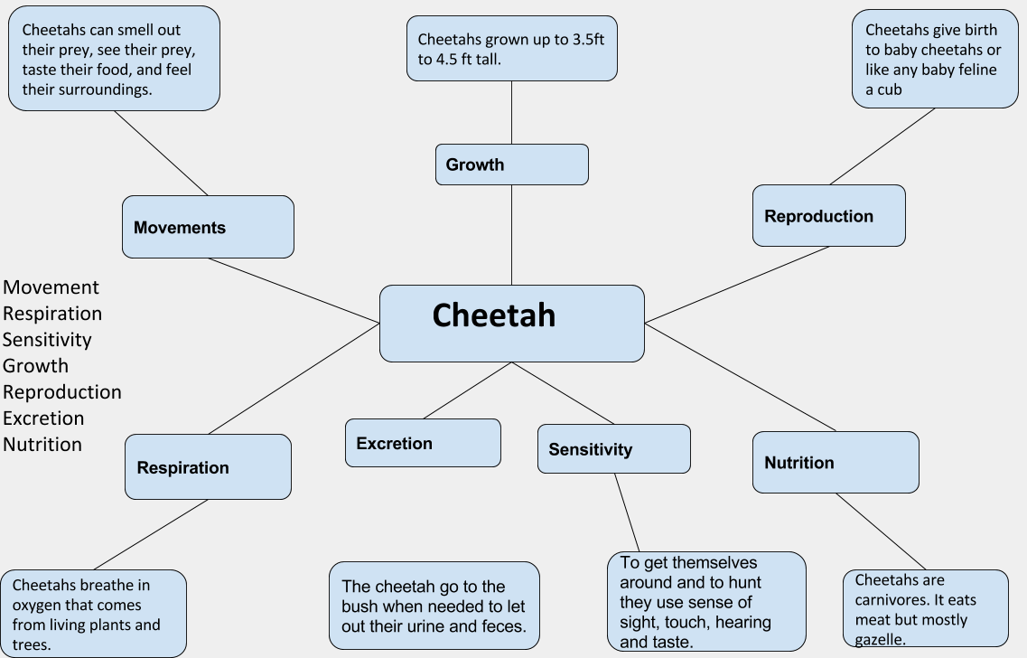 Luisa @ Glenbrae School: MRS.GREN