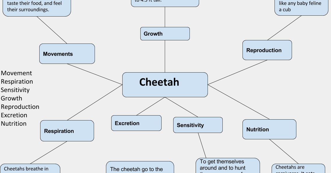 Luisa @ Glenbrae School: MRS.GREN