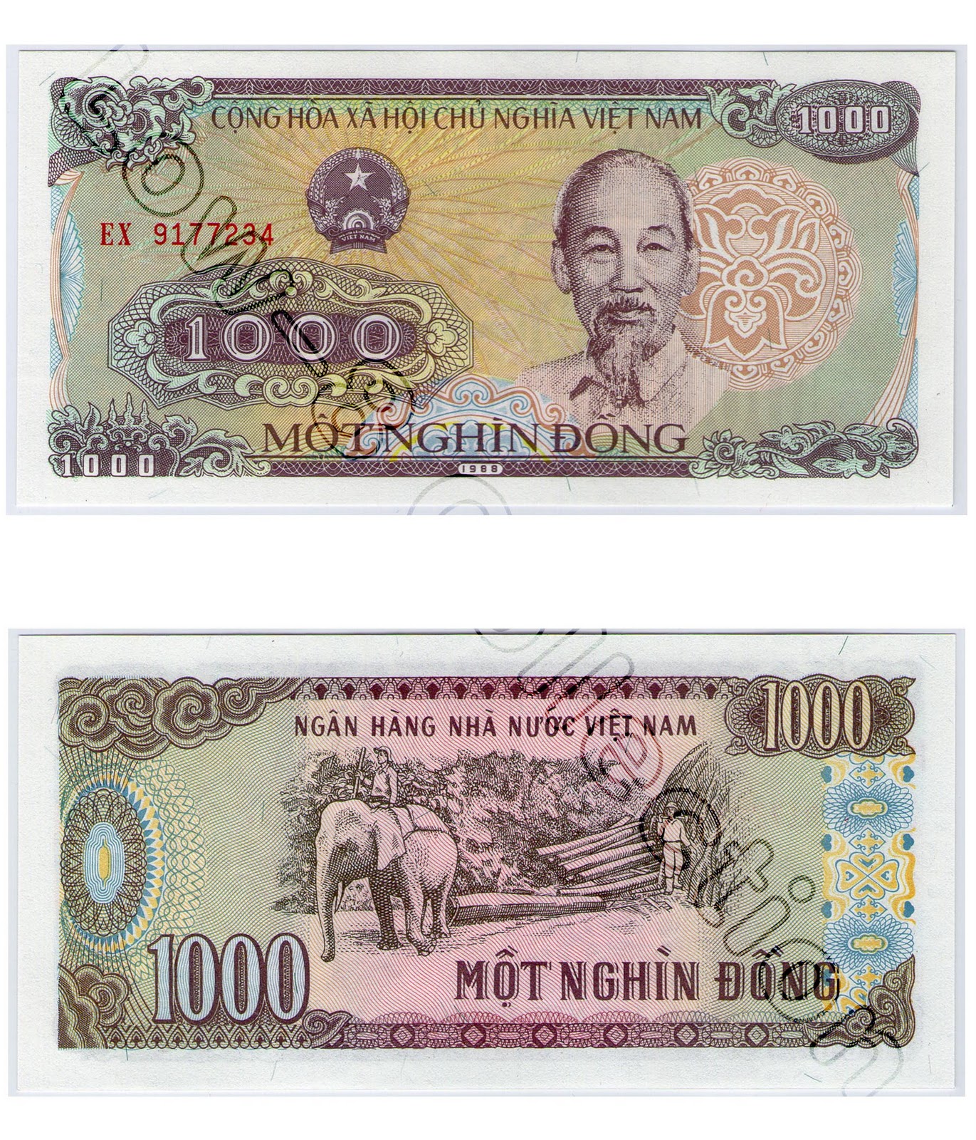 Vietnam Dong | Low-8 Collection