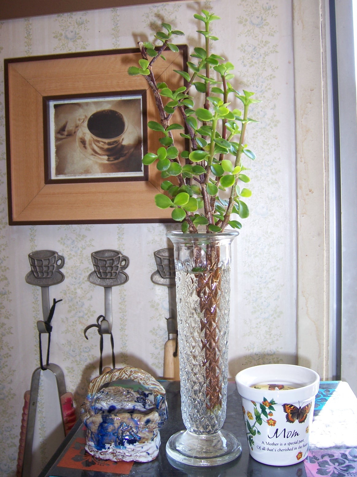 Topological Space: Three Different Money Trees