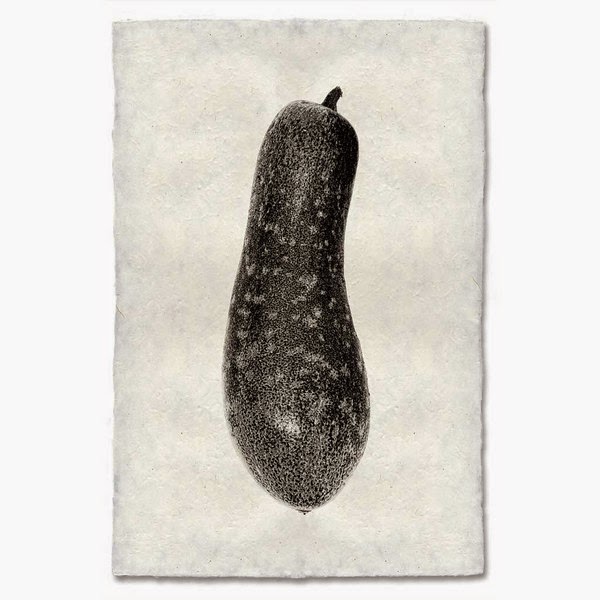 The New Victorian Ruralist: Barloga Studios photography now showcased ...