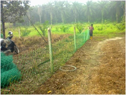 VisiTani: Memasang Pagar Chain-link