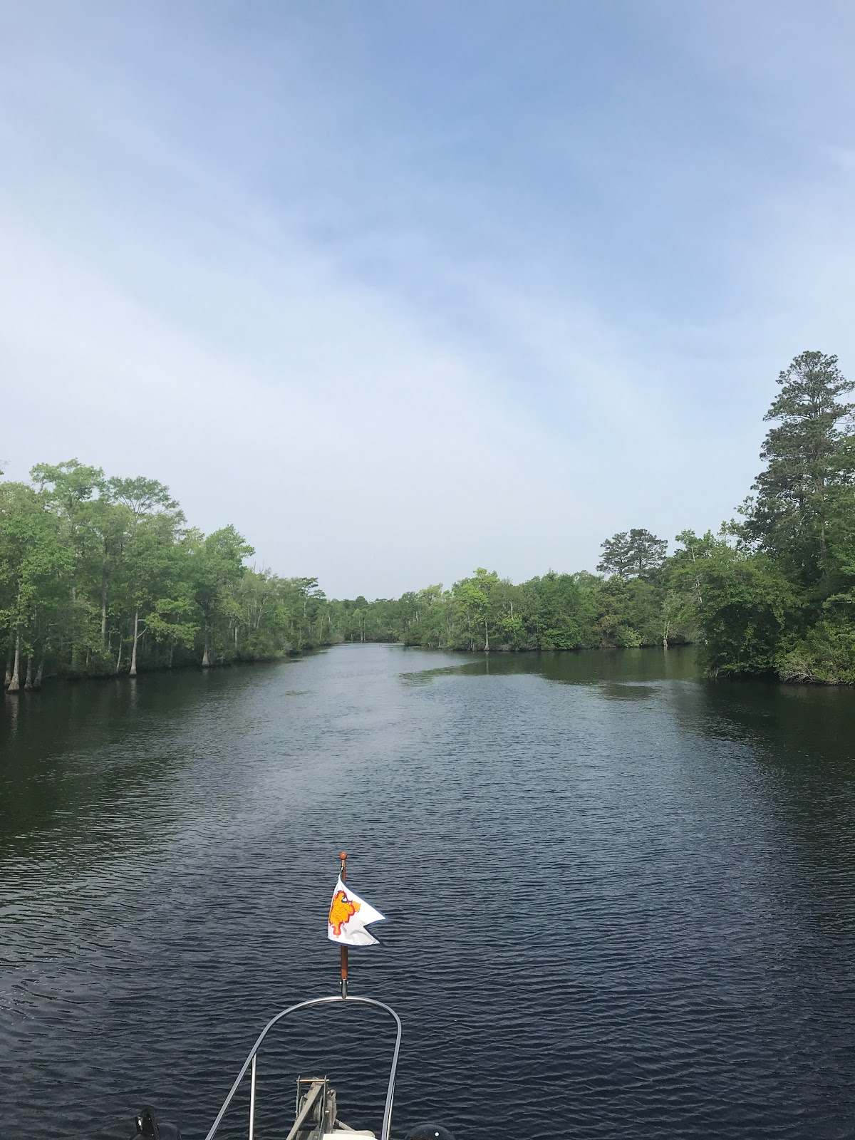 Viridian News & Views: Dingy, Dim, Dark, Gloomy, Dreary, Drab, Dull ...