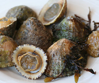 Behind the French Menu: Bernique or Patelle - Limpets. The Limpet in ...