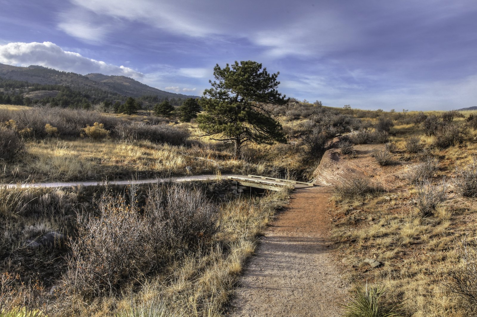 RonNewby: Bobcat Ridge Natural Area Masonville Colorado Nov. 30 2012