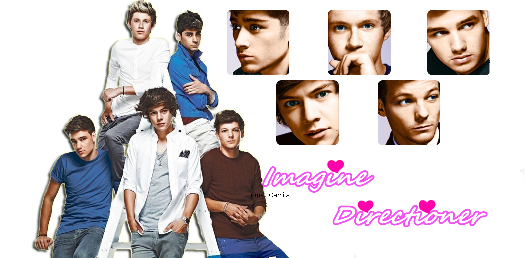 ♥ Directioner Land ♥