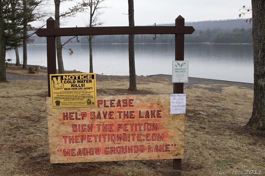 Country Captures: Meadow Grounds Lake: Update