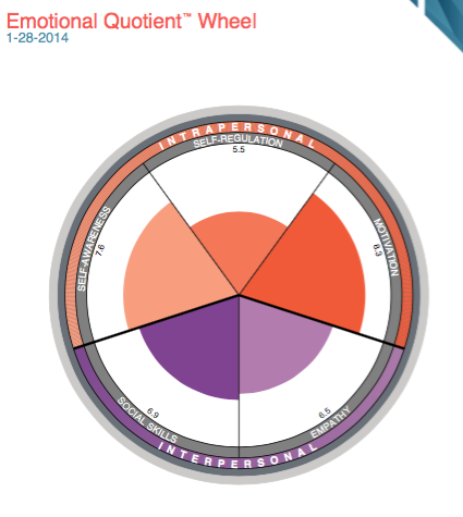 Psychometric Assessments - a peek inside the person