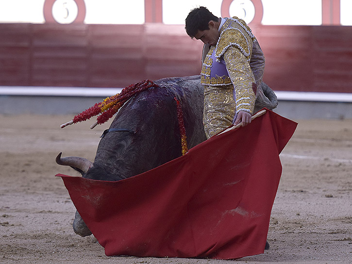 Toreo en Red Hondo: LAS VERDADES DEL TOREO DE VERDAD (17): ¡ASÍ SE COGE ...