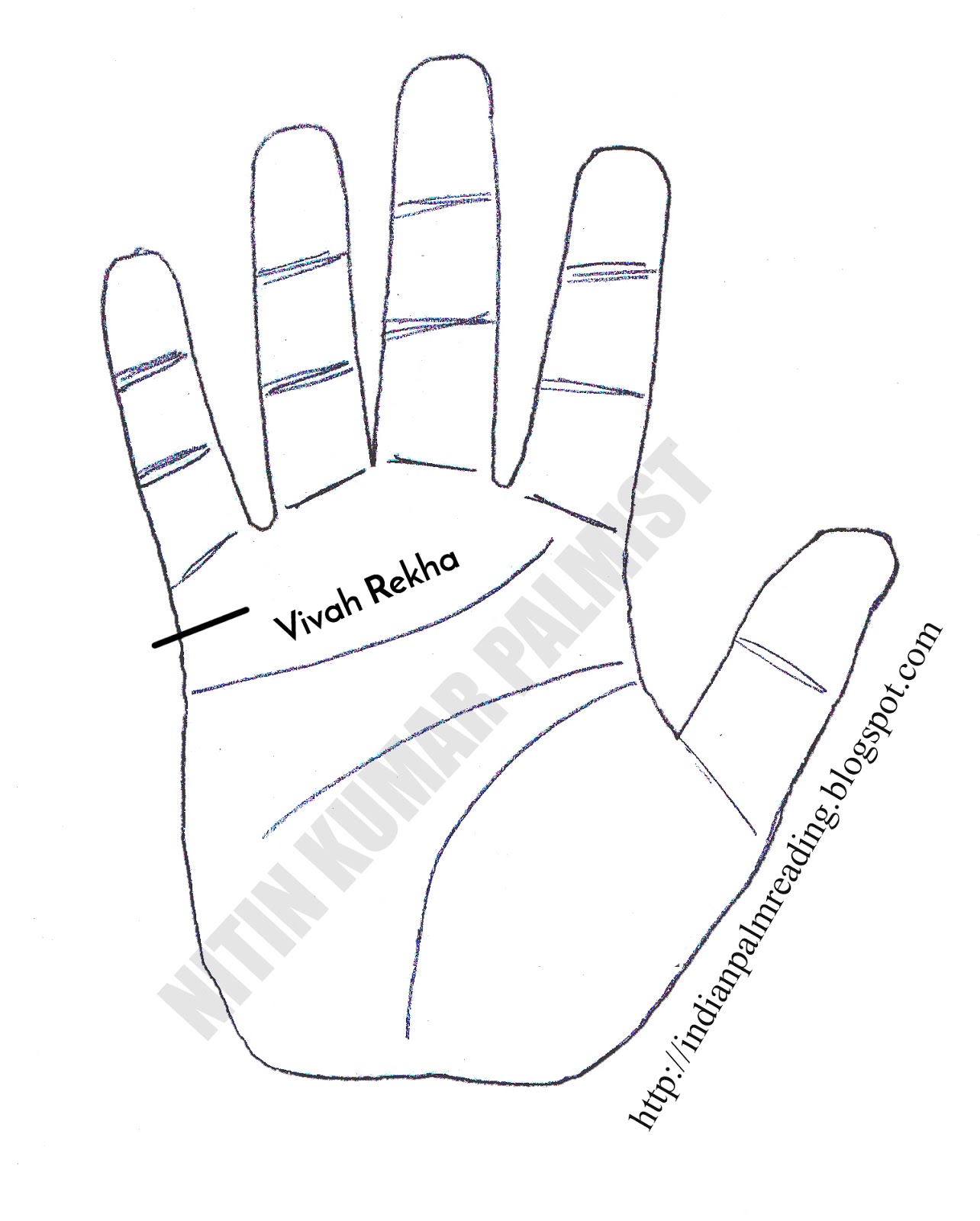 हस्तरेखा विज्ञान से विवाह रेखा की सम्पूर्ण जानकारी प्राप्त करें ...