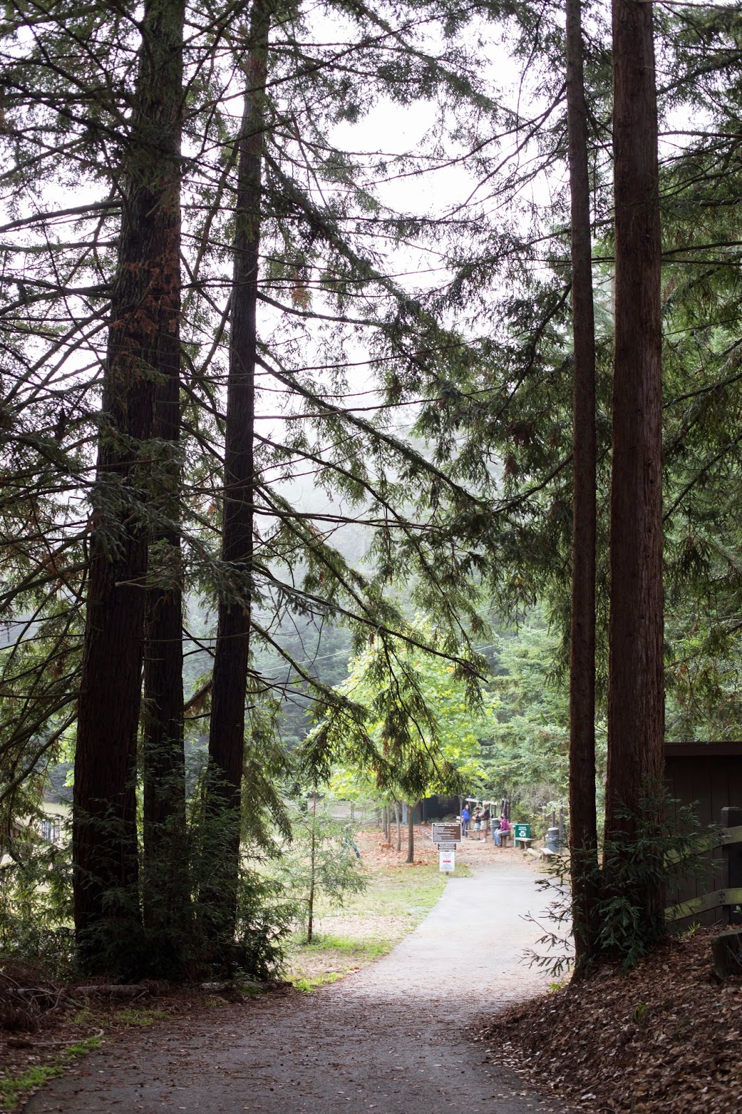 My Traditional Archery Journey: Redwood Bowmen Club