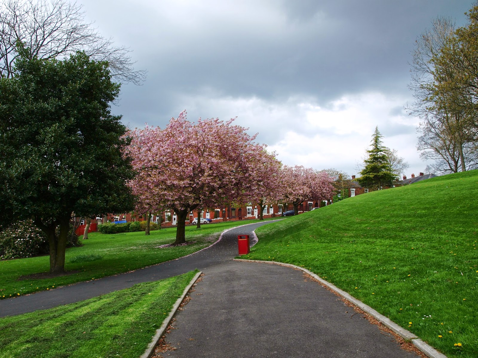 Dukinfield views in Tameside by Cllr John Taylor: Dukinfield park April ...