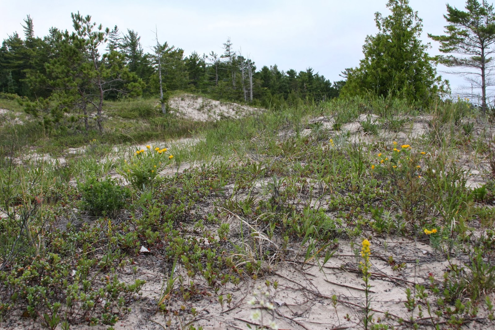 Isabella Conservation District Environmental Education Program: Geology ...