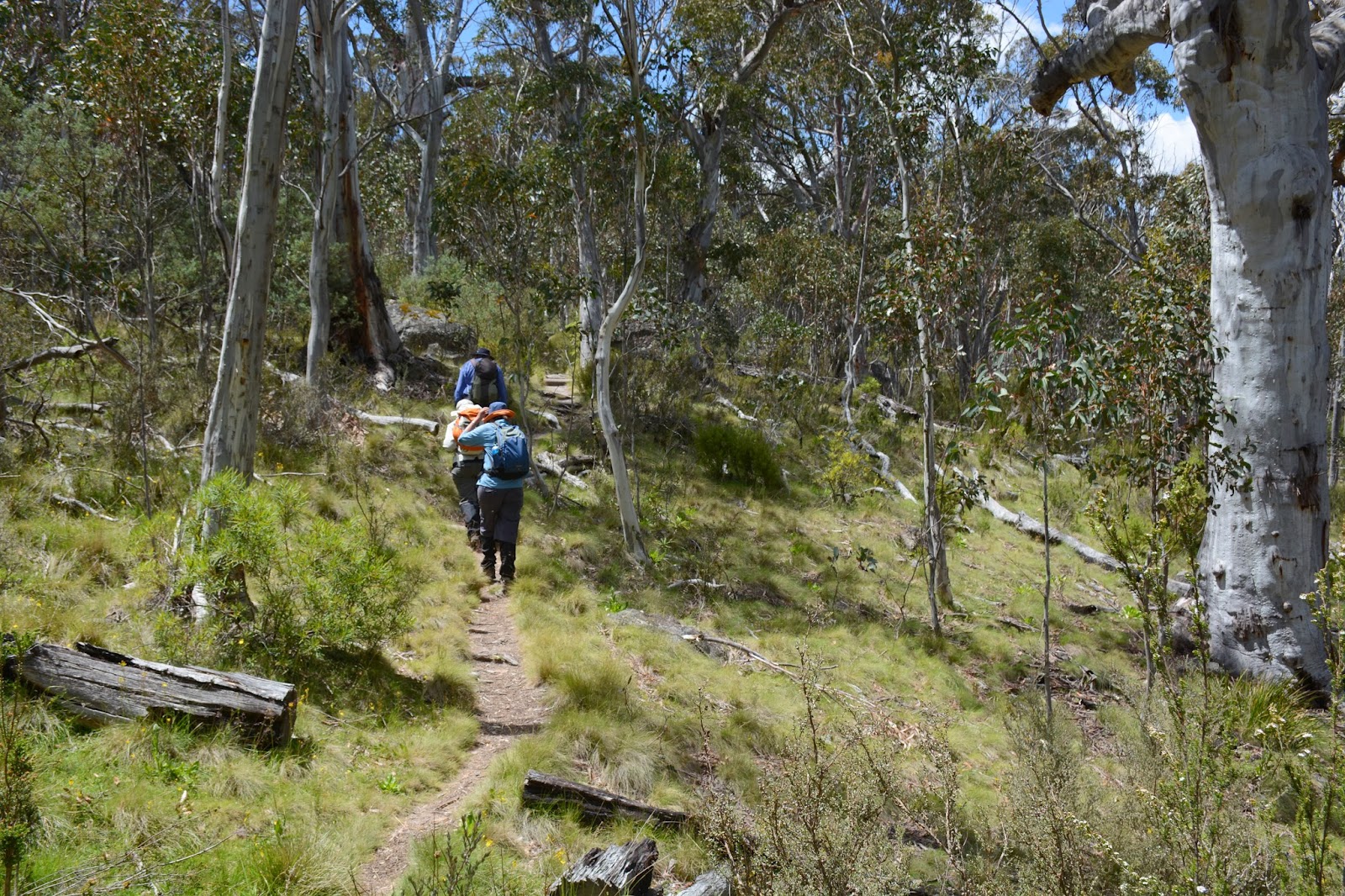 walkabouters club of victoria inc: Waterfall Track