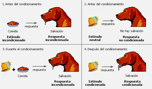 Blog Educativo: Biografia y Aporte de Ivan Pavlov