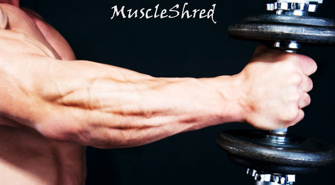 Exercises And Workouts For Massive Forearms | GET-SHREDDED