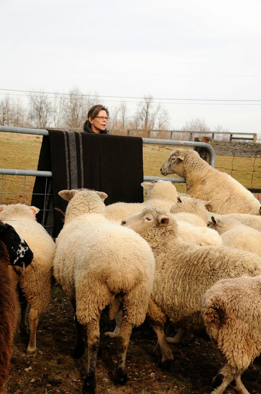 Punkin's Patch: The God Of Simple Shepherds