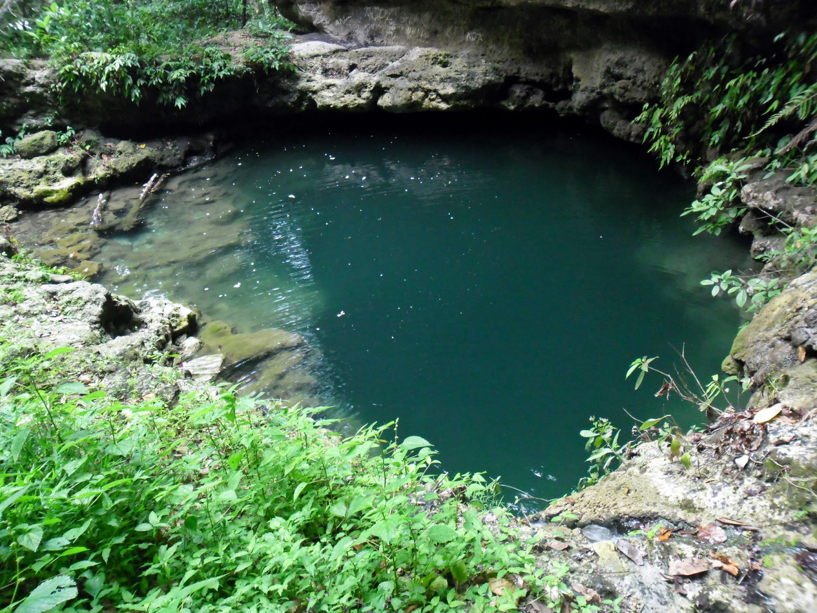 Travel Life Love: Nusa Penida, The Other Side of Beautiful Bali (8-11 ...