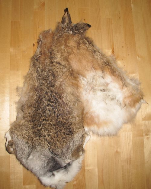 Grayling on the Fly: Ode on a Hare's Pelt