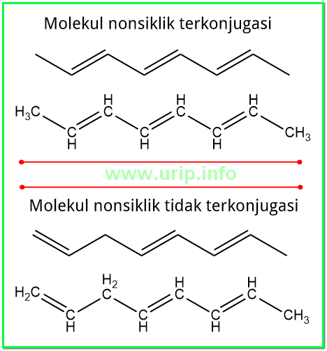 Simulator Identifikasi Kearomatikan Molekul | Markas Belajar