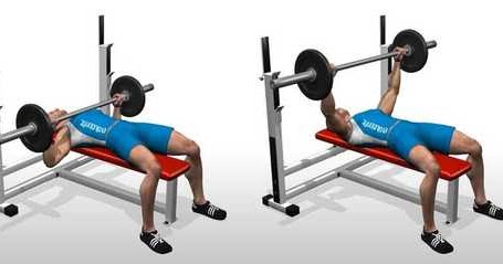 FITNESS LIFE: Top 5 chest exercises