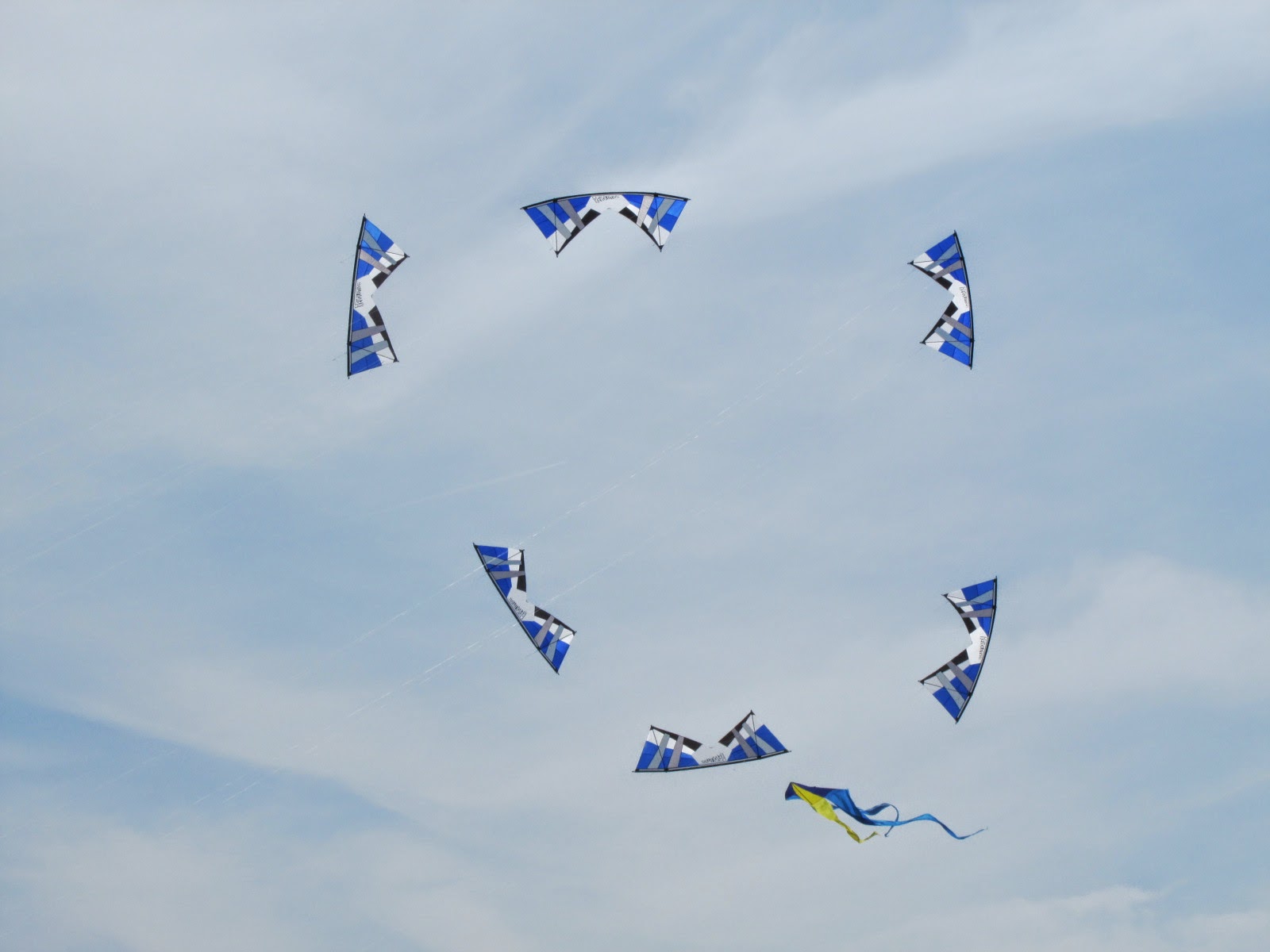 Flying Fish Kiting Team: Dunstable Kite Festival