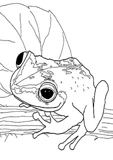 MIXED MEDIA SCRATCH ART - Frogs