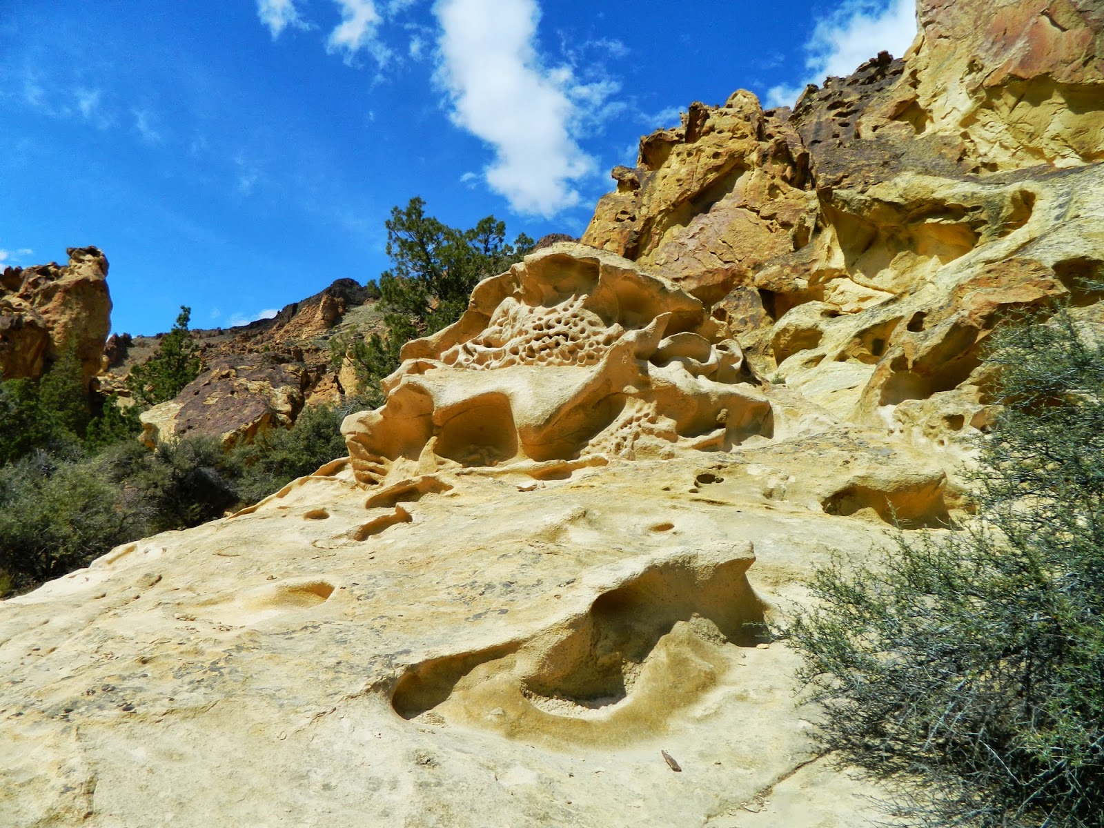 Living in Idaho: Juniper Gulch at Leslie Gulch Area