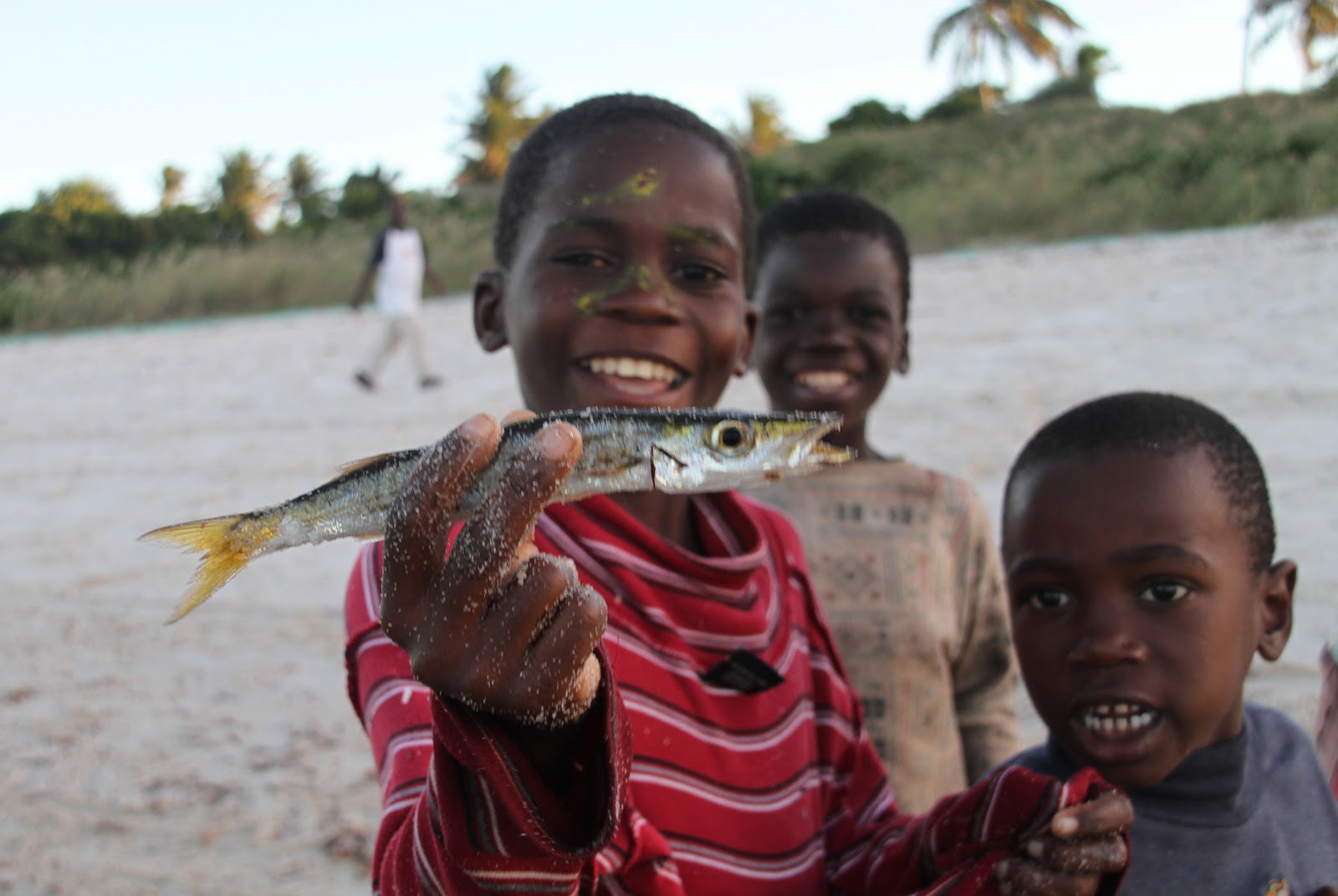 jennybphotolife: Fish on the beach.