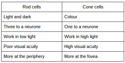A2 Biology: The basic structure of a Pacinian corpuscle as an example ...