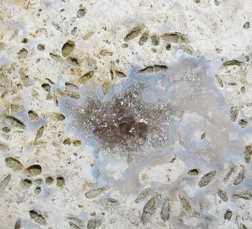 Archaeology of Portable Rock Art: A two-sided oolitic chert mammoth ...