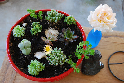 JPM Design: Pots, Pots & More Pots