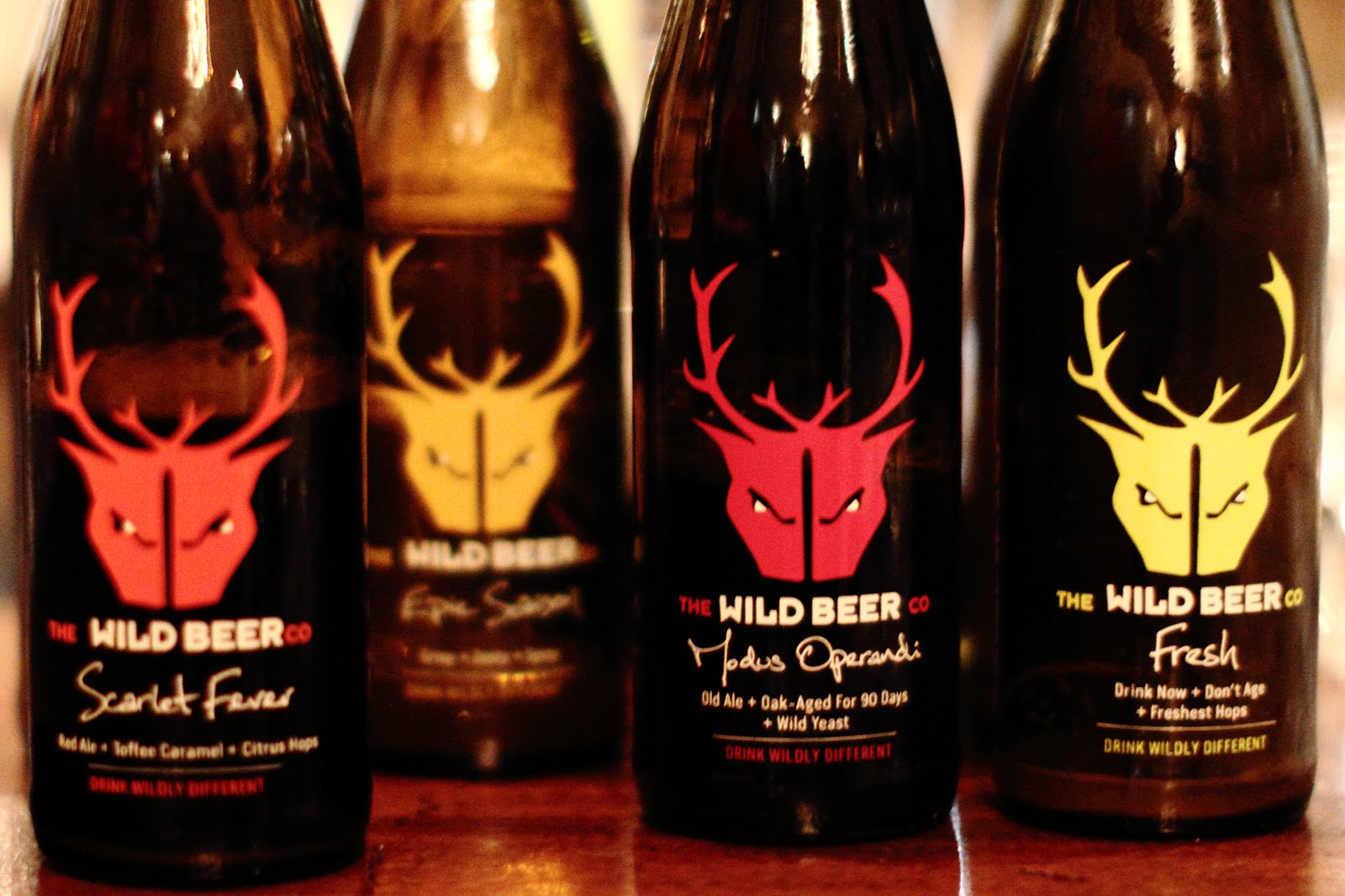 Sophie Carr's Photo Blog: Drink Wildly Different with Wild Beer