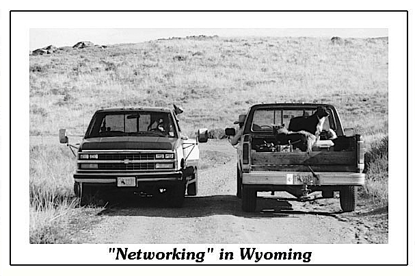 In the Company of Plants and Rocks: The top 10 reasons I love Wyoming ...