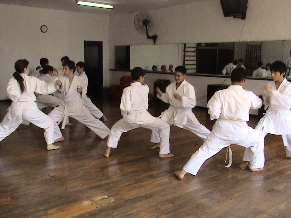 Y.I.K.G.A. Bs.As., Argentina: Karate-do Goju-Kai como desarrollo personal