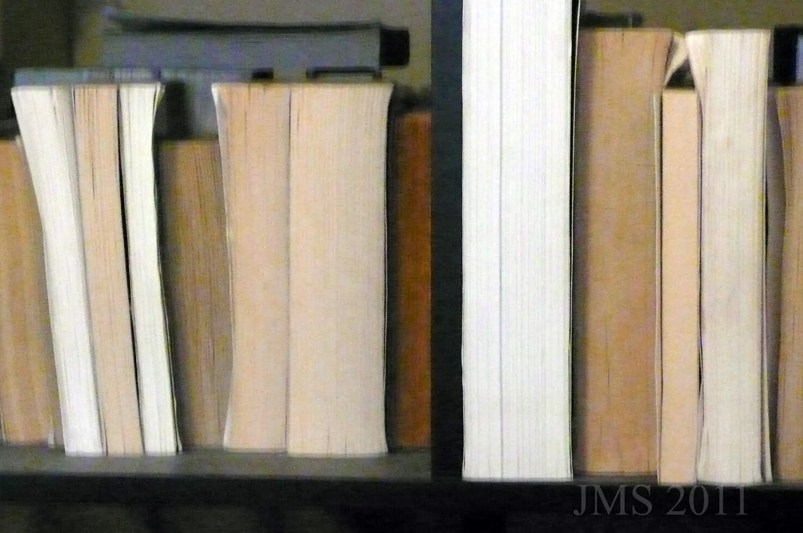 100 Snapshots: Book Case